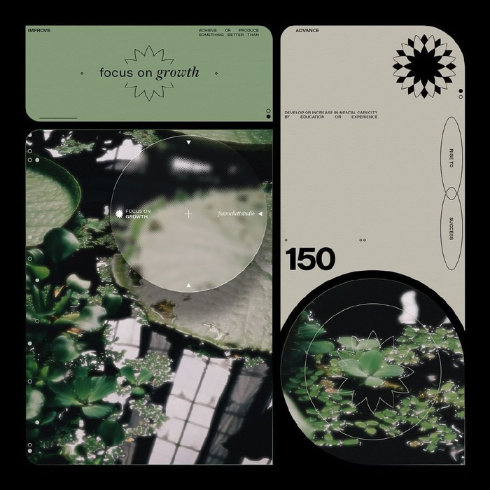 方形磨砂版式创意 .Fox Rockett__财经头条