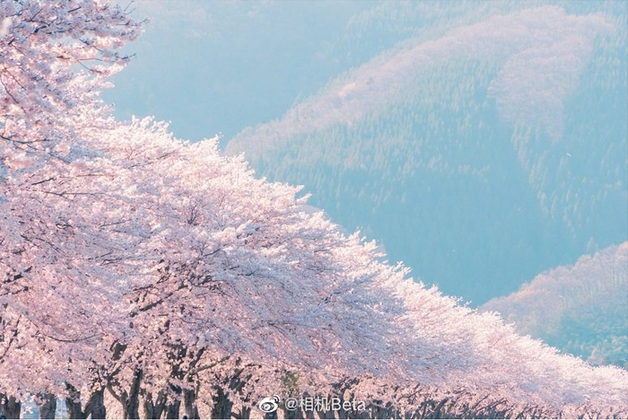 动画风日本摄影师 Akine Coco 镜头下的日本小镇、山水与天空
