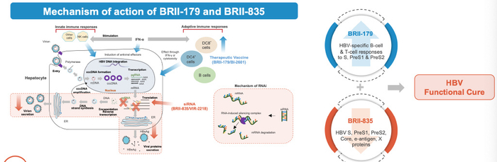 乙肝在研新药BRII-179，BRII-835及BRII-877，2022年即将到来进展
