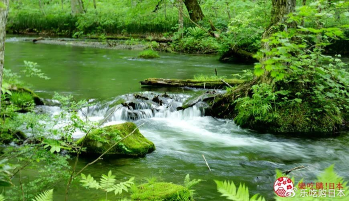 用「JR东北PASS」玩遍银山温泉、藏王树冰，五日行程省下好多钱|盛冈|青森|银山温泉