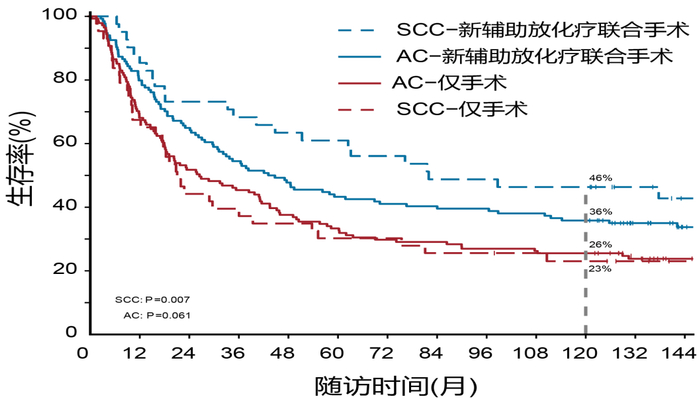 点评CROSS研究10年结果及CheckMate 577|抗癌|癌症|化疗_新浪新闻