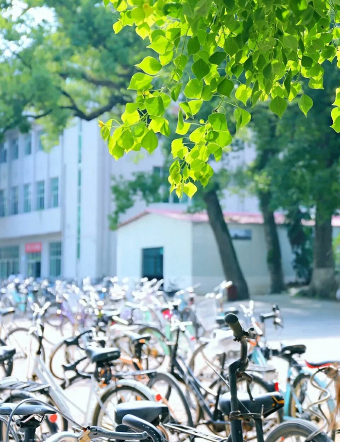 桑榆非晚，柠月如风，时光平凡而珍贵，浮云似白衣，斯须变苍狗，回首光阴，唯余感激