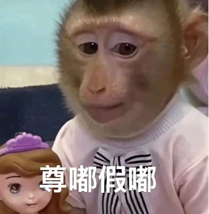 猴子吗喽表情包 拿图请吱一声~ 更多表情包看我主页！__财经头条__新浪财经