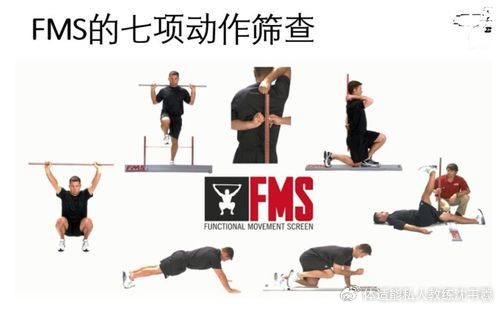 基于功能性动作筛查（FMS）的个性化运动训练与康复计划制定