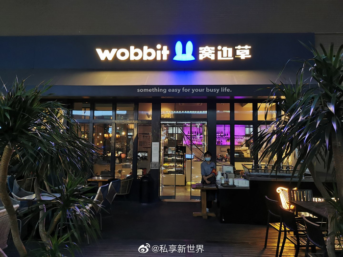 这次选择wobbit窝边草位于望京的餐厅，店内的各种兔子元素吸引__财经头条__新浪财经
