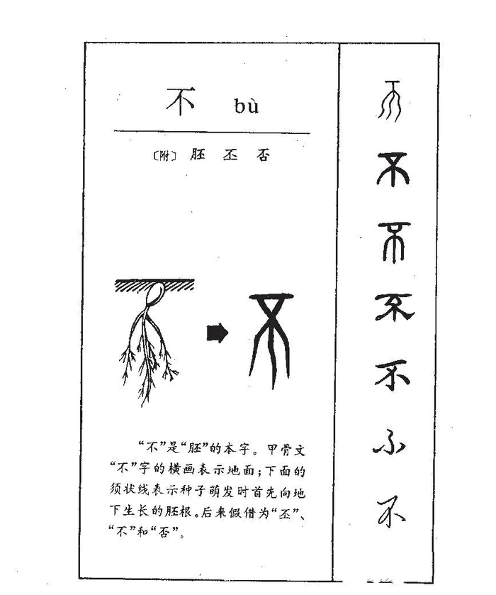 汉字演变过程图解|汉字|演变_新浪新闻