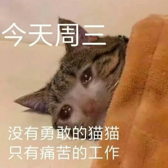 流泪猫猫头表情包～ 今天周四 难熬的猫猫