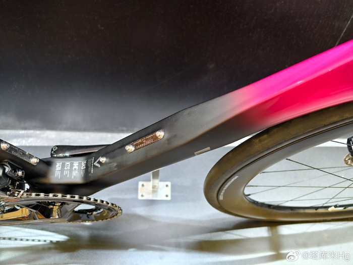 VoiceVelo Echo (aero frame)