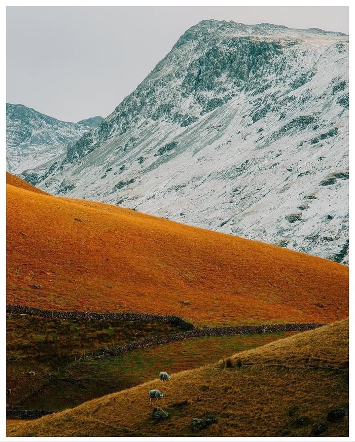 秋 | Daniel Casson__财经头条__新浪财经