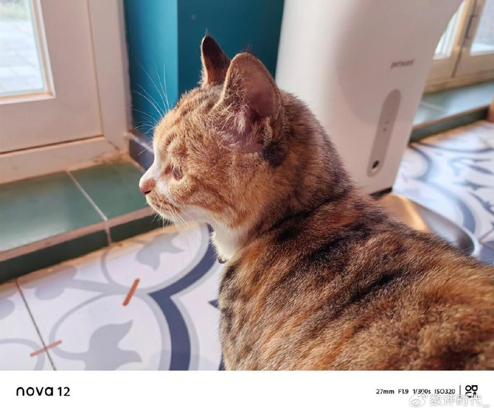 华为nova12系列新机体验：外观好看，拍照足够强、系统体验拉满__财经头条__新浪财经