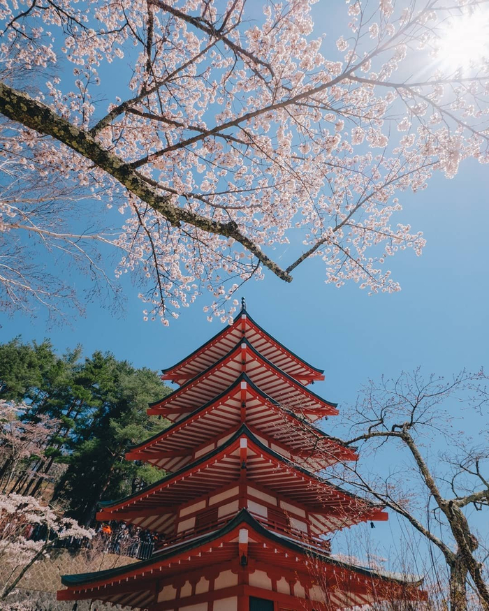 如果痛恨所处的黑暗，请你成为你想要的光， 摄影丨Hiro Goto__财经头条