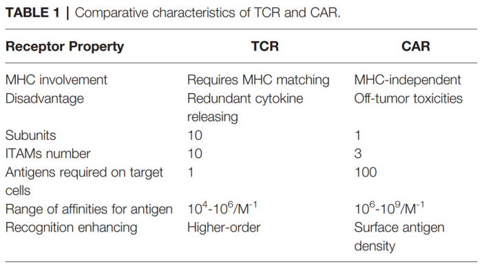 TCR-T疗法：实体肿瘤的治疗利器，引领未来肿瘤治疗的新篇章！|滑膜肉瘤|癌症|肿瘤_新浪新闻