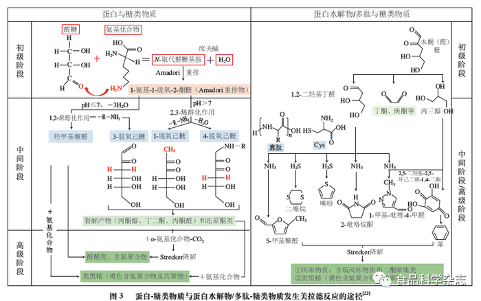 食源蛋白水解物/多肽与糖类物质美拉德反应产物在食品应用中的研究进|抗氧化|水解|拉德_新浪新闻