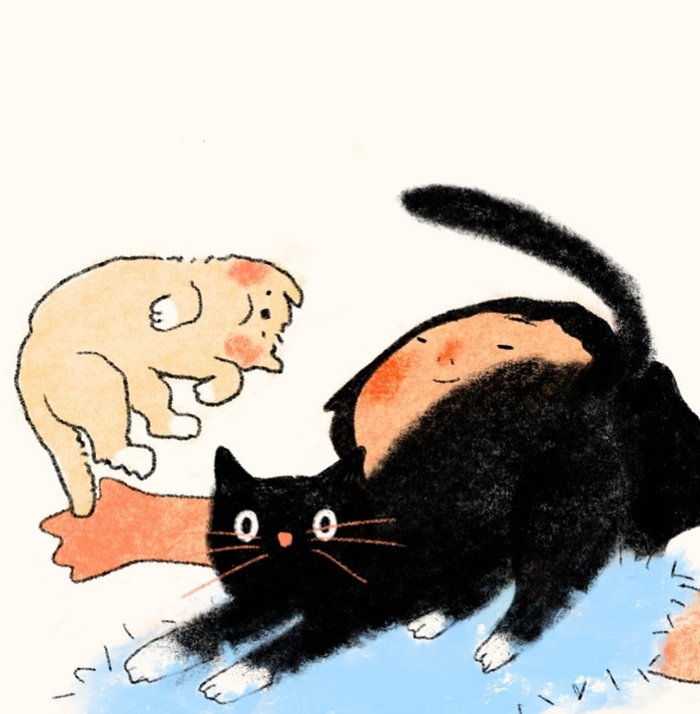 韩国插画师pdohk（피도크）的绘画作品__财经头条__新浪财经