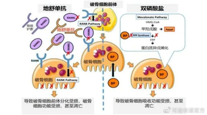 对于“肿瘤骨转移”患者，选择唑来膦酸，还是地舒单抗？|肺癌|唑来膦酸|患者_新浪新闻