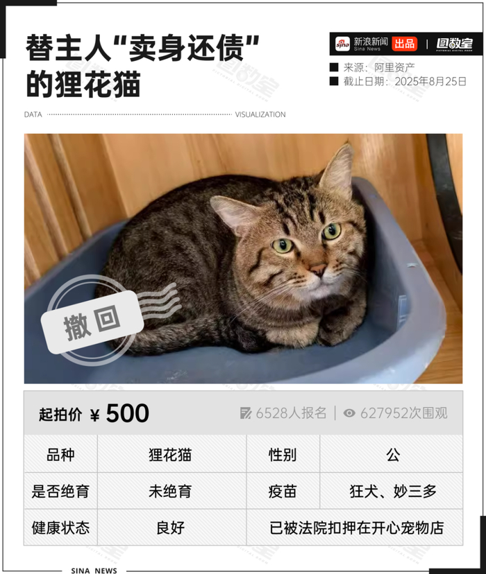 图数室丨疯狂的法拍物藏着多少荒诞故事？