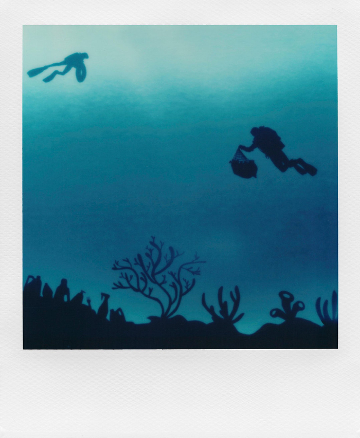 宝丽来出了一款新的蓝色相纸