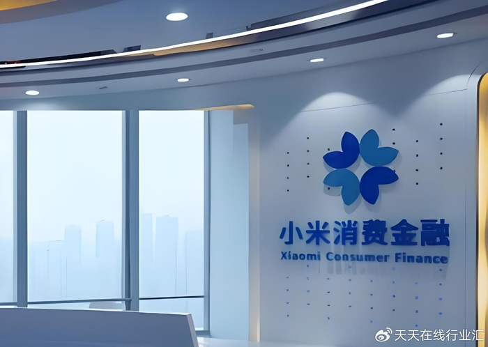 小米消金：小米公司增持至60%，去年净赚1.31亿助贷合作逆势增至43家__财经头条__新浪财经