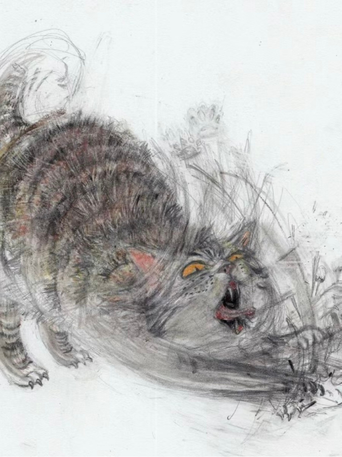 来自法国插画家Leo Forest的作品🖼 他笔下的动物也太生动了吧……