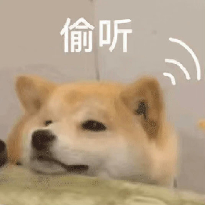 狗狗表情包合集