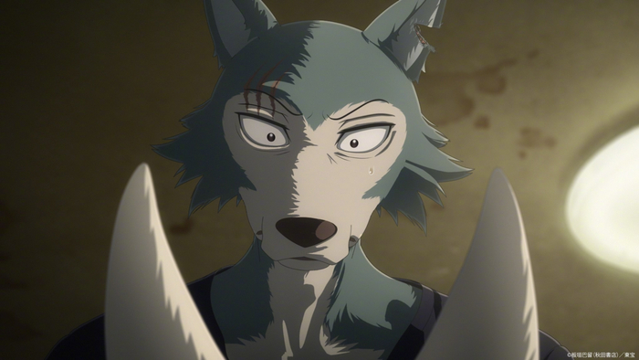 「BEASTARS」TV动画最终季Part 2预告图公开！2026年播出__财经头条__新浪财经