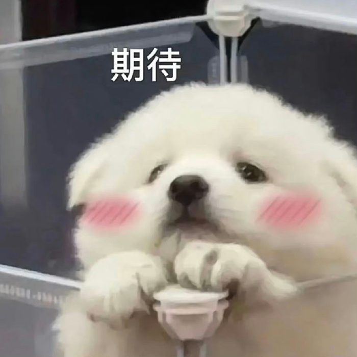 狗狗表情包合集