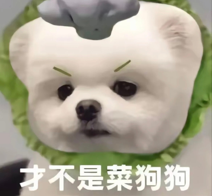 狗狗表情包合集