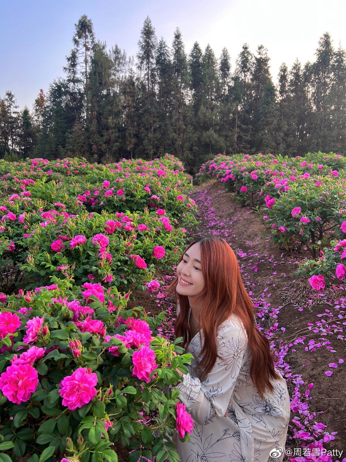 腾冲，一个被火山群包围着的边陲小城 这里有着来自地心热情……