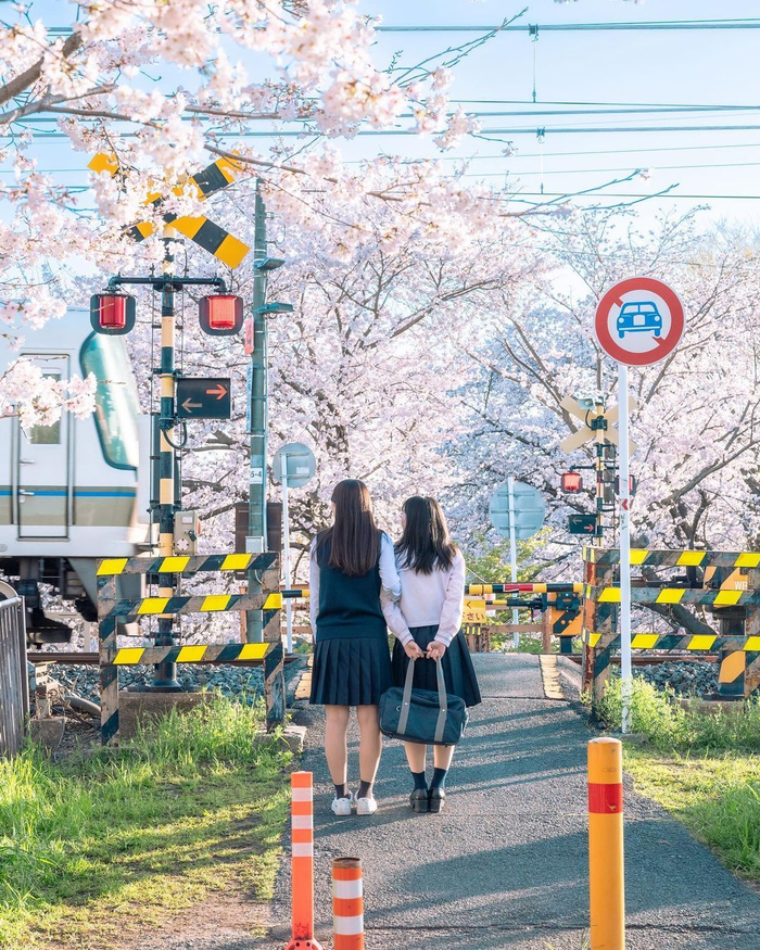漫画一样的风景（tomosaki）