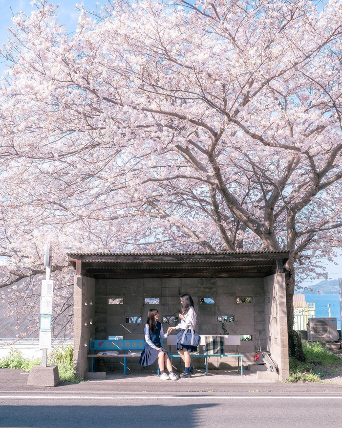 漫画一样的风景（tomosaki）