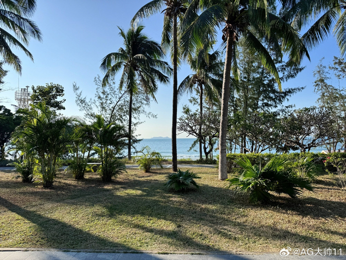 大帅来三亚送玫瑰了呀！这看着不错啊！__财经头条__新浪财经