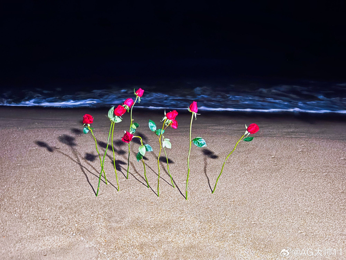 大帅来三亚送玫瑰了呀！这看着不错啊！__财经头条__新浪财经