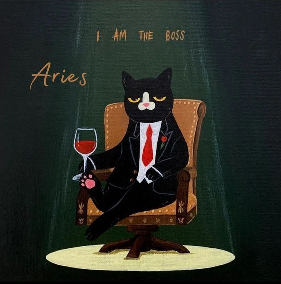 喝完这杯，再来三杯！ ：Studio After Cigs