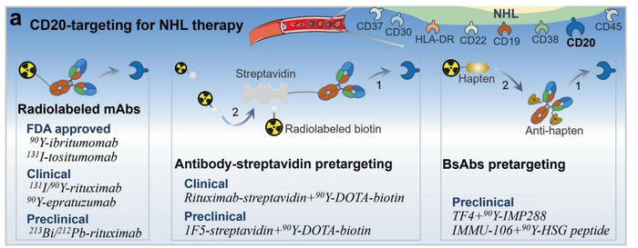 Nature-CDD｜放射性药物载体系统的癌症治疗策略|淋巴瘤|放射性|标记_新浪新闻