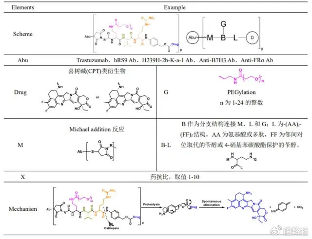 下一个被收购的ADC|百奥泰|普方|亲水型