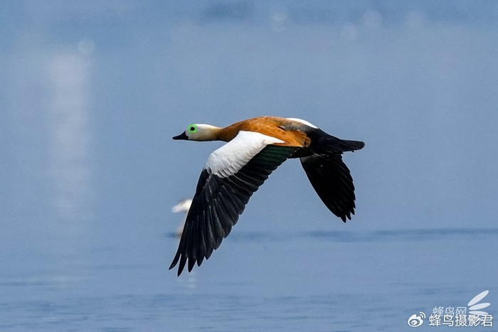 影像旗舰再进化 47999元的旗舰索尼A1M2深度评测|索尼|设计_新浪新闻