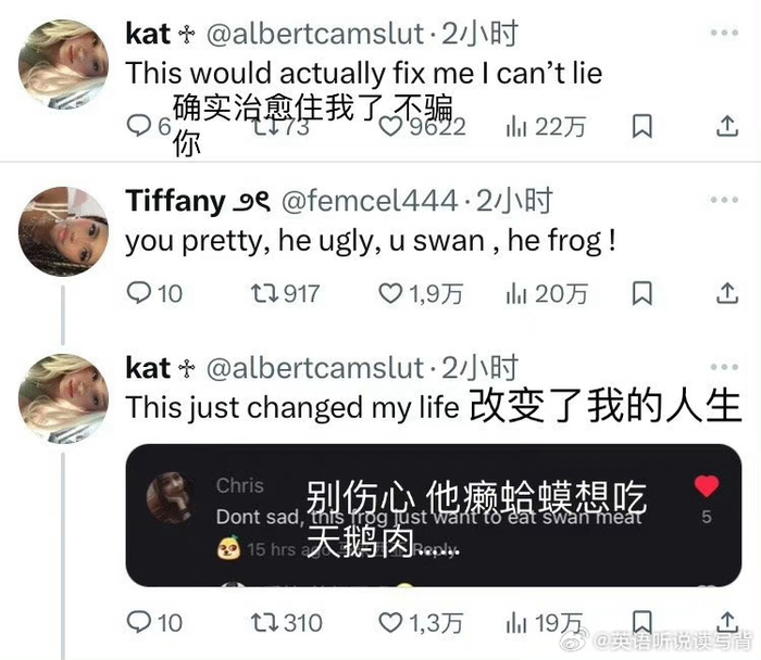 中文式英语火到外网当梗用了！ you pretty ，he ugly ，you swan ，he frog!
