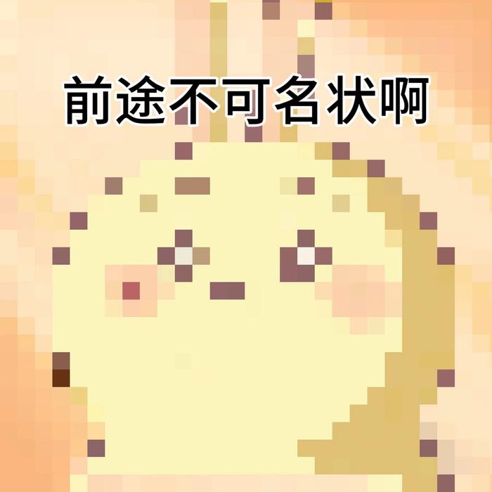 前途一片西八啊