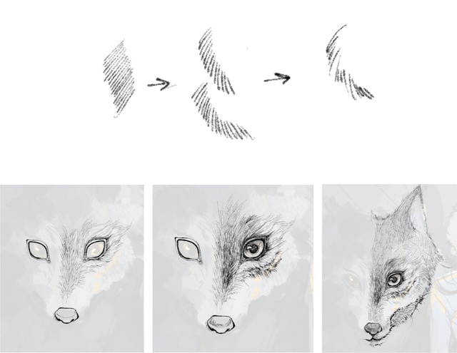 动物毛发怎么画？教你如何绘制动物毛发的画法！