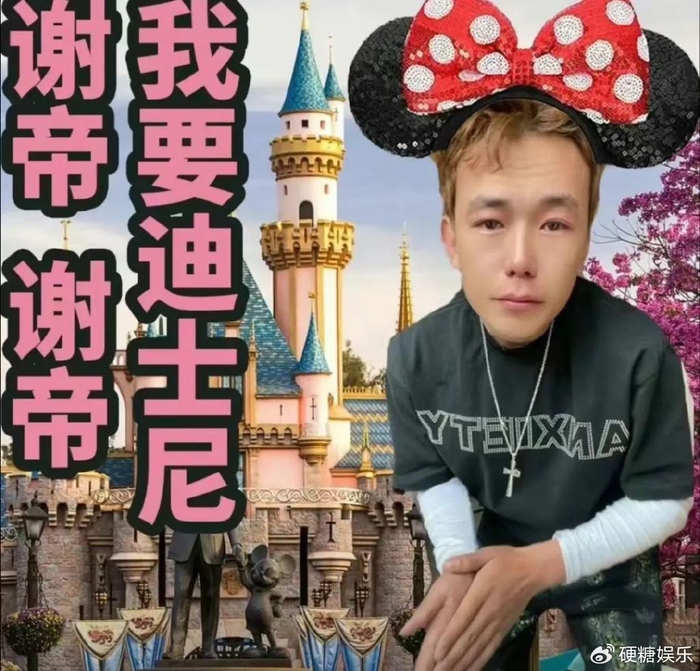 努力的人已经通过海选出道了|迪士尼|诺米|谢帝_新浪新闻