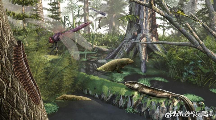 地球一半的煤诞生于石炭纪，这个巨虫横行的时代，是如何终结的？