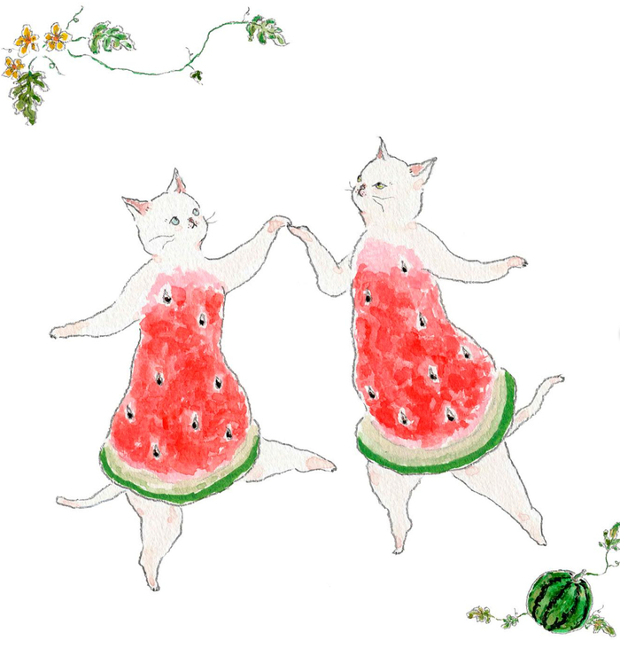 可可爱爱的小猫，分享给你！ ：tocorocomugi__财经头条__新浪财经