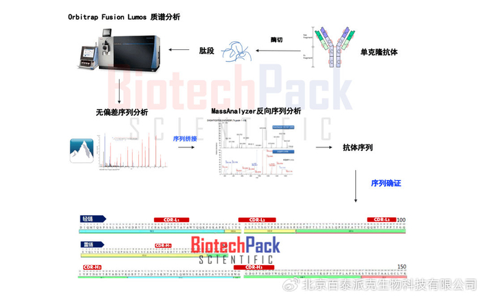 抗体序列发现二代测序结果分析：拓展抗体研究的新视野|新视野|抗体|序列_新浪新闻