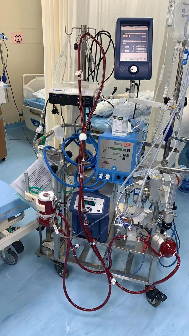 108小时！厦大翔安医院心内心外团队首用ECMO成功救治病患|心血管|厦门大学|委员会委员|黑龙江省|福建省_新浪新闻