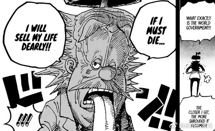 海贼王1123话：S蛇归五老星，大宝藏归草帽团，莉莉丝有空岛科技|草帽|莉莉丝|贝加庞克_新浪新闻