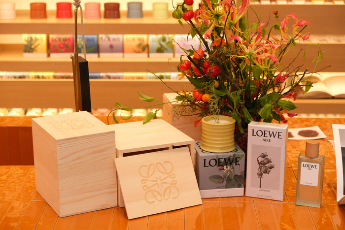 提升生活幸福感的居家好物 LOEWE罗意威香氛太好逛啦__财经头条