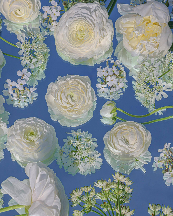 镜，花 | Joseph Horner