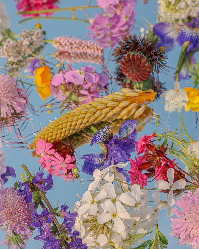 镜，花 | Joseph Horner