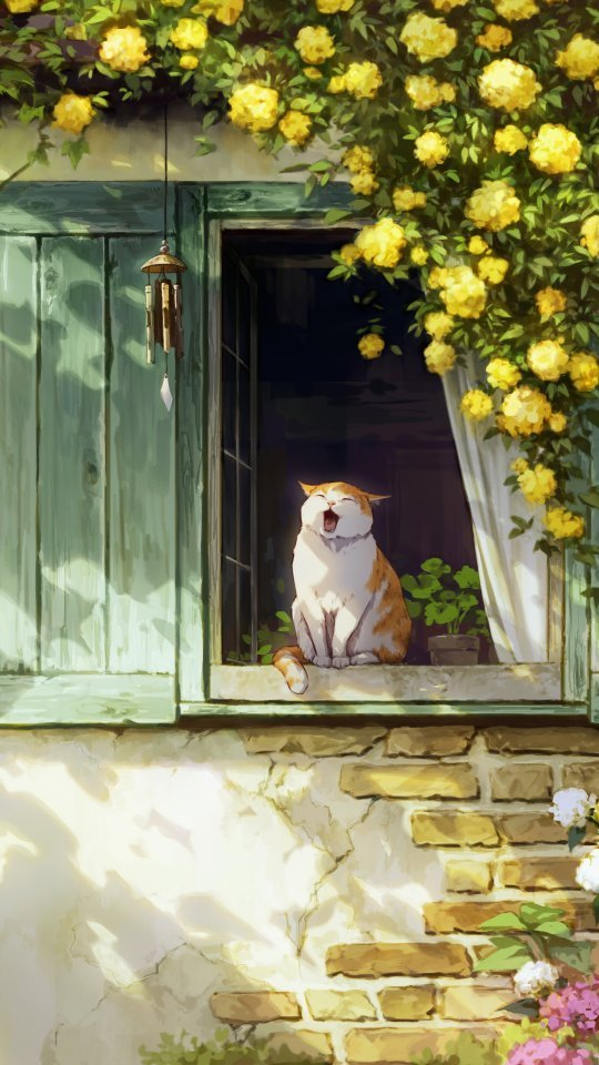 插画师 Djamila Knopf