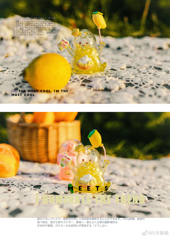 MUKAMUKA@西萌宝宝星球